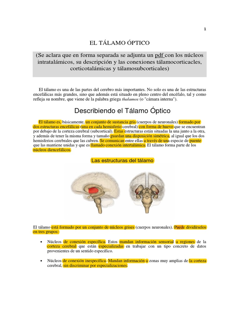 Tálamo Óptico | PDF | Tálamo | Cerebro