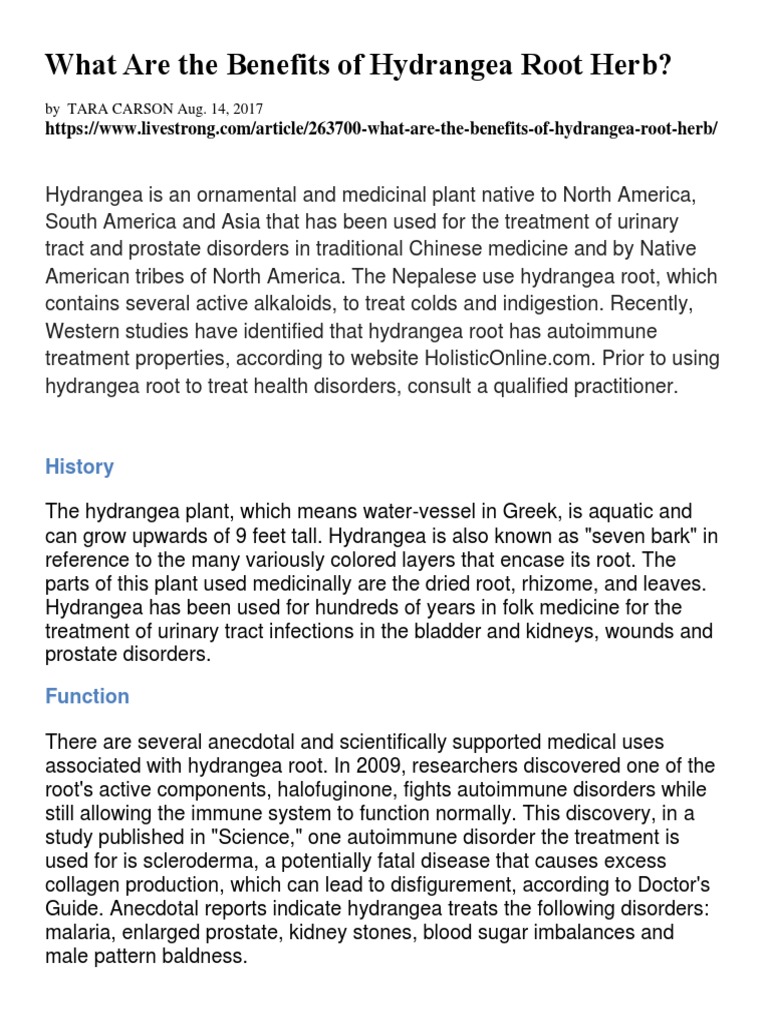 Health Benefits of Hydrangea Root | PDF | Autoimmune Disease | Dose ...