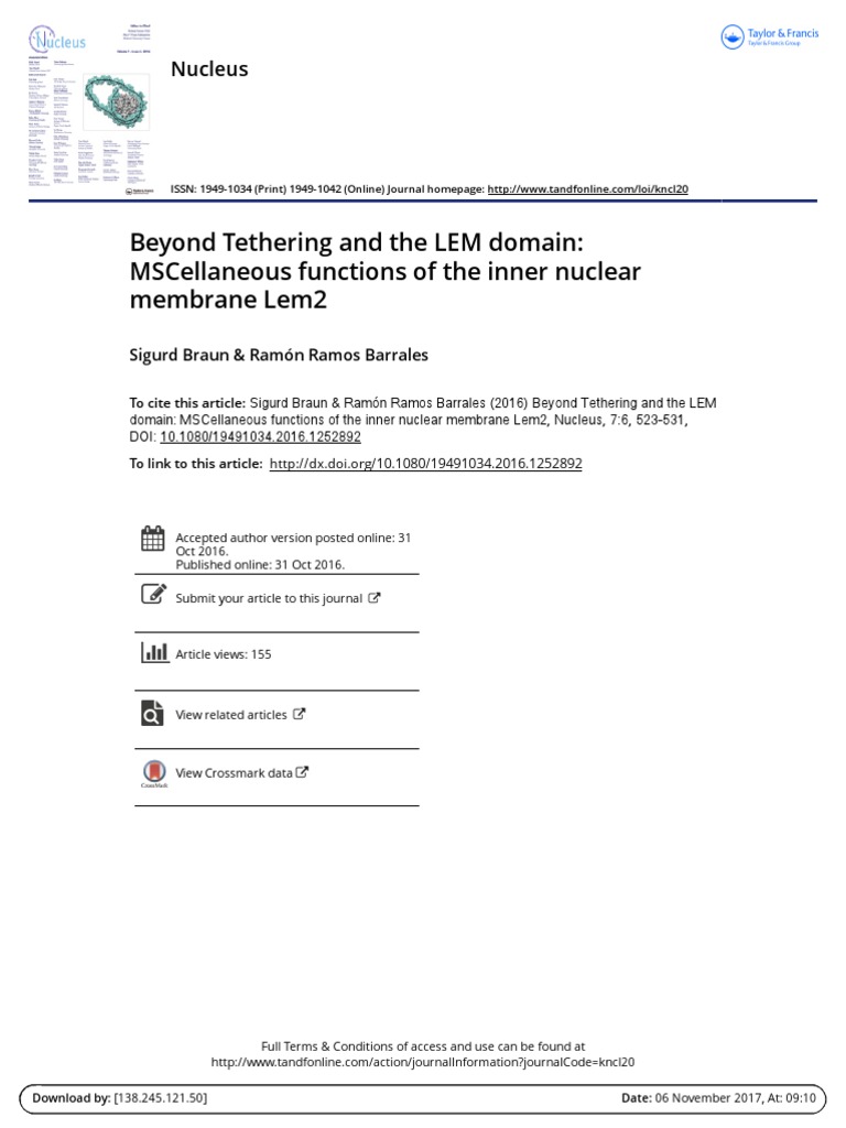 Beyond Tethering and The Lem Domain: Mscellaneous Functions of The ...