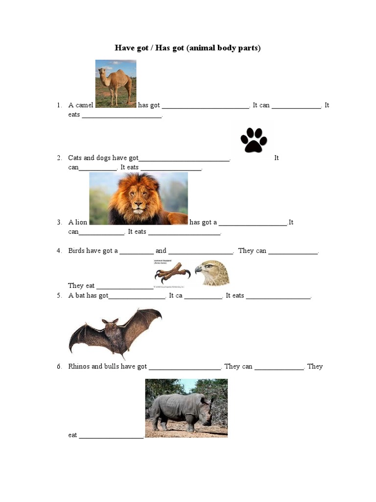 Have Got Animal Body Parts | PDF