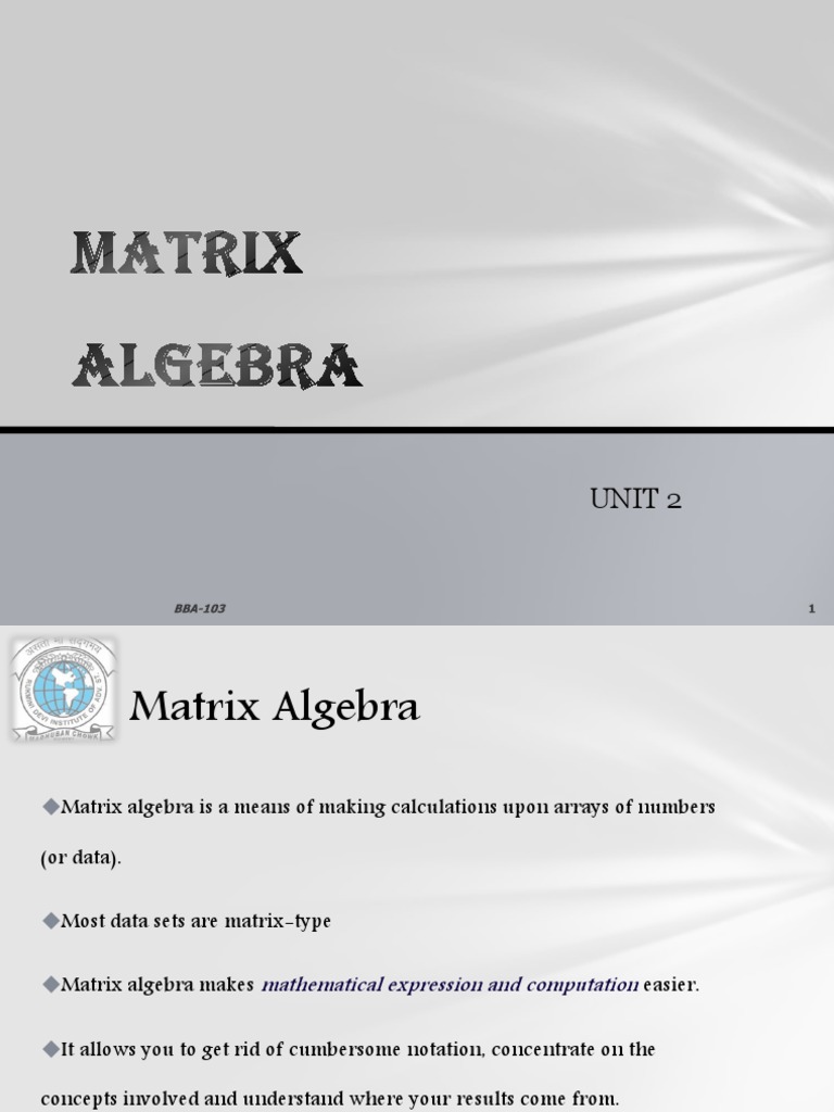 Matrix Algebra Fundamentals | PDF | Matrix (Mathematics) | Determinant