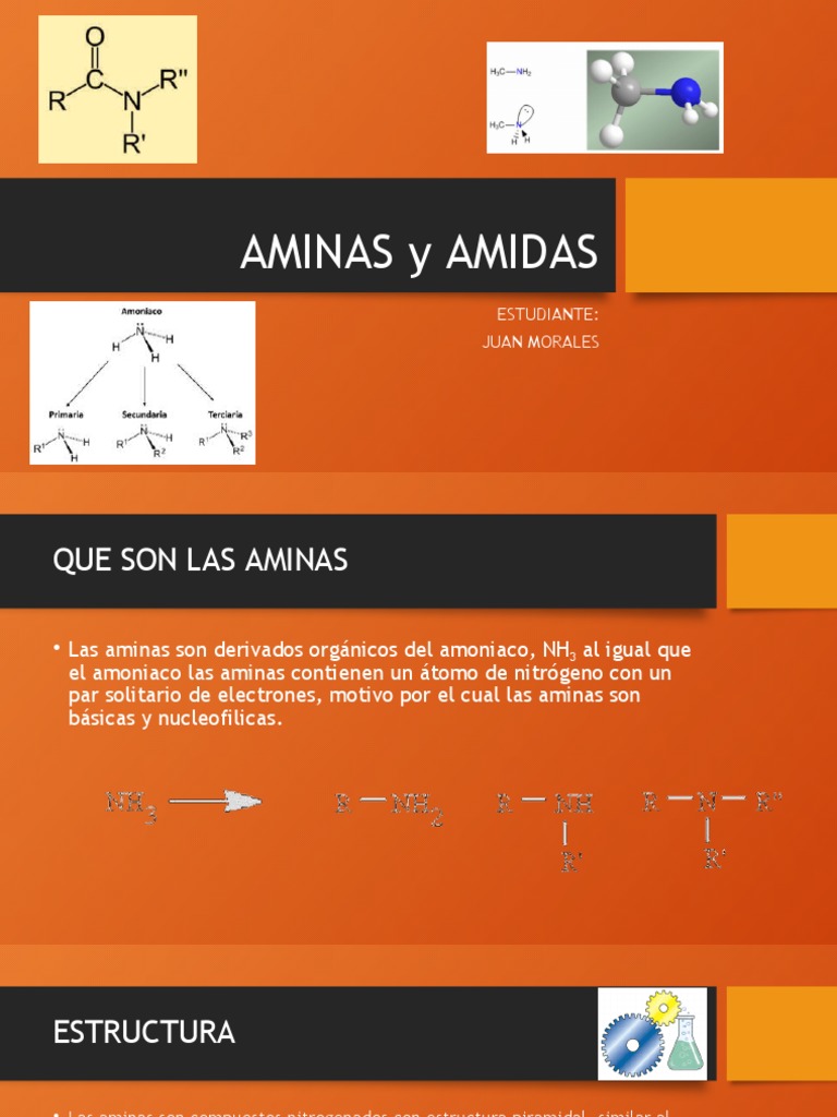 Aminas y Amidas: Conceptos Clave | PDF | Amida | Amina