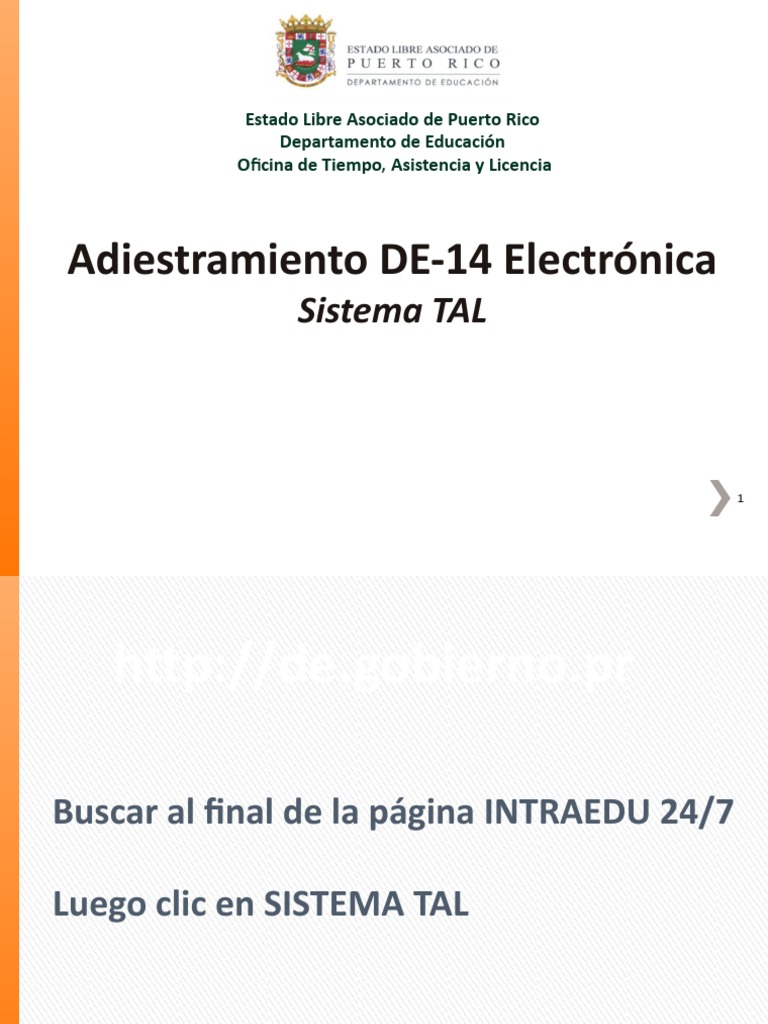 DE-14 Electronica Actualizada | PDF | Business