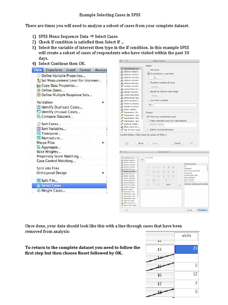Example Selecting Cases in SPSS | PDF