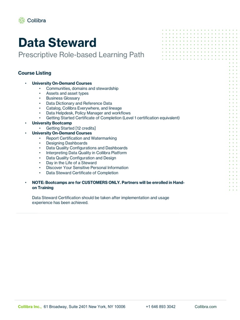 Data Steward: Prescriptive Role-Based Learning Path | PDF