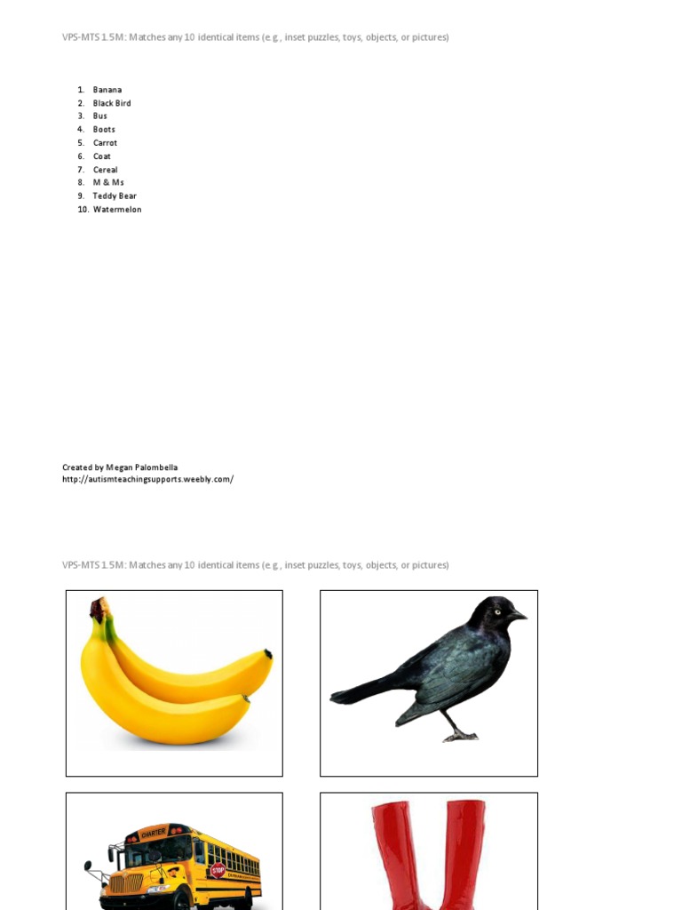 Autism Teaching Tools Guide | PDF