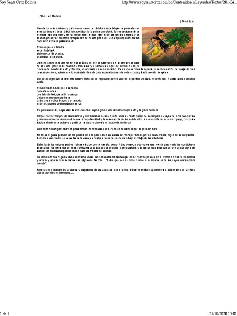 Bibosi en Motacu | PDF