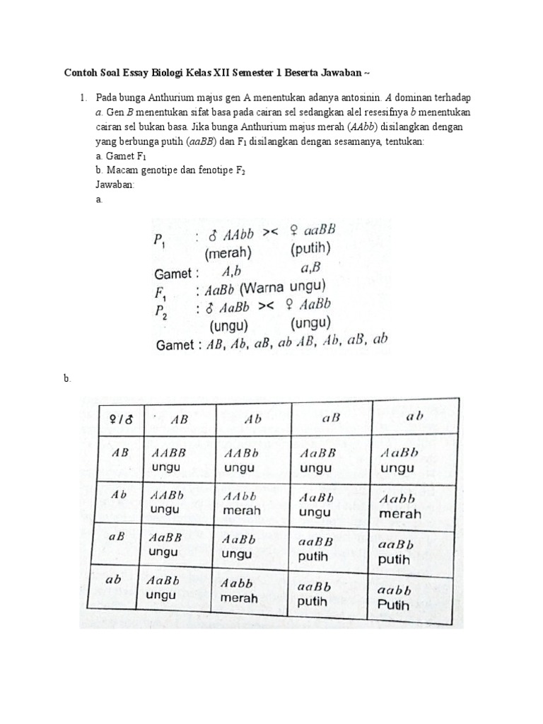 Contoh Soal Essay Biologi Kelas XII Semester 1 Beserta Jawaban 9 Nov ...