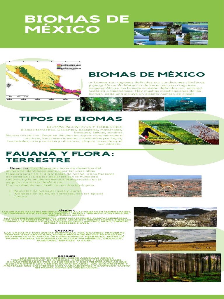Infografia Biomas de Mexico Hernandez Ramirez Leonardo | PDF | Desierto ...