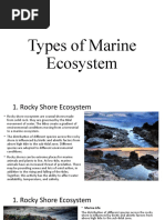 Sandy Beach Ecosystems Explained | PDF | Beach | Coast