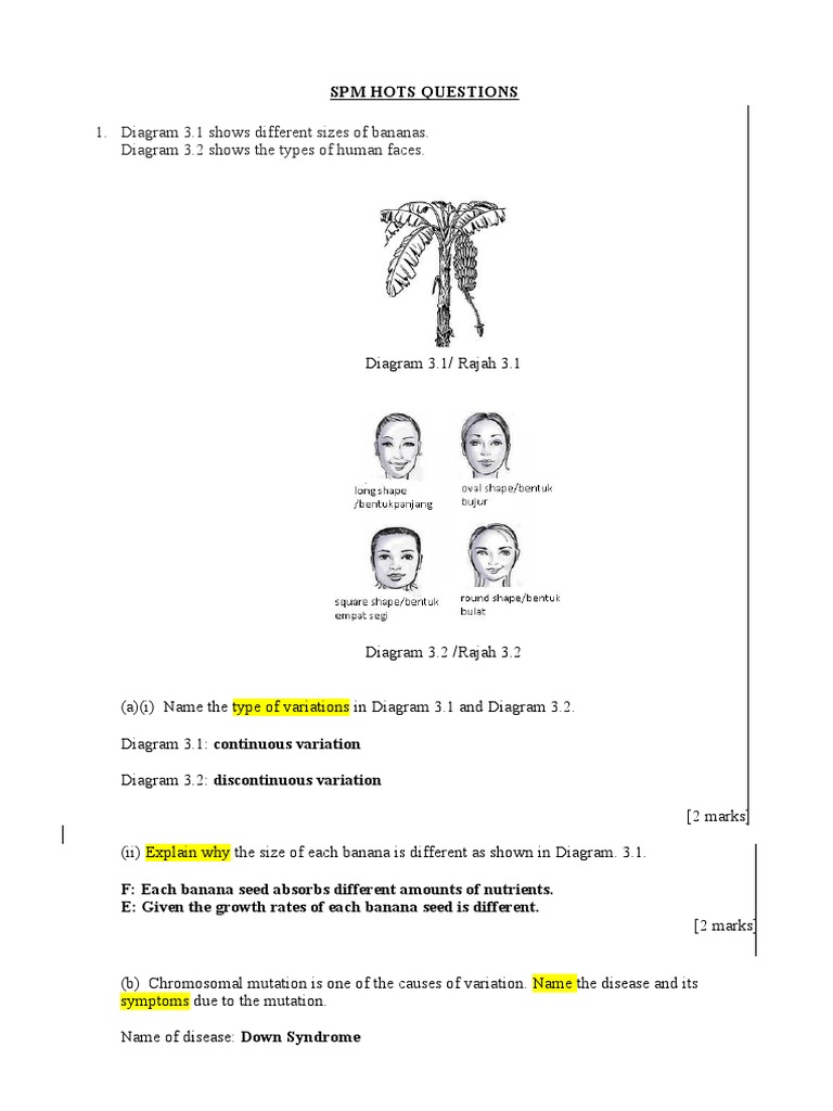 Biology SPM Hots Questions & Answers (2020) | PDF | Insulin | Genotype