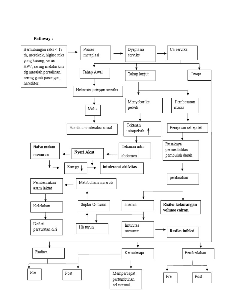 Pathway Ca Serviks | PDF