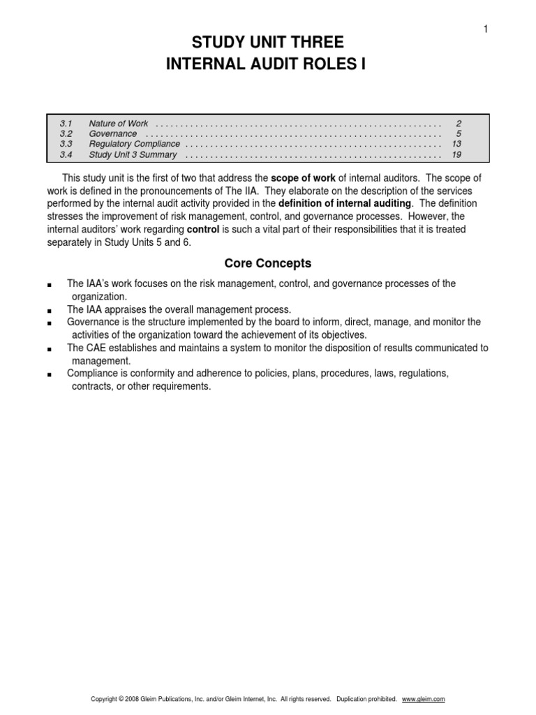 Internal Audit Roles I PDF | PDF