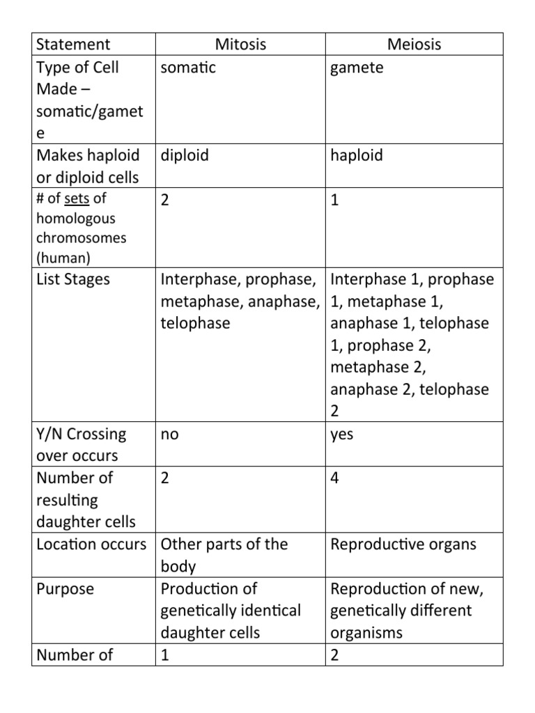 Mitosis and Meiosis Chart | PDF
