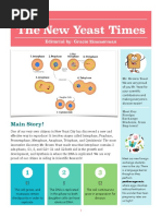 Photosynthesis Stem Case | PDF