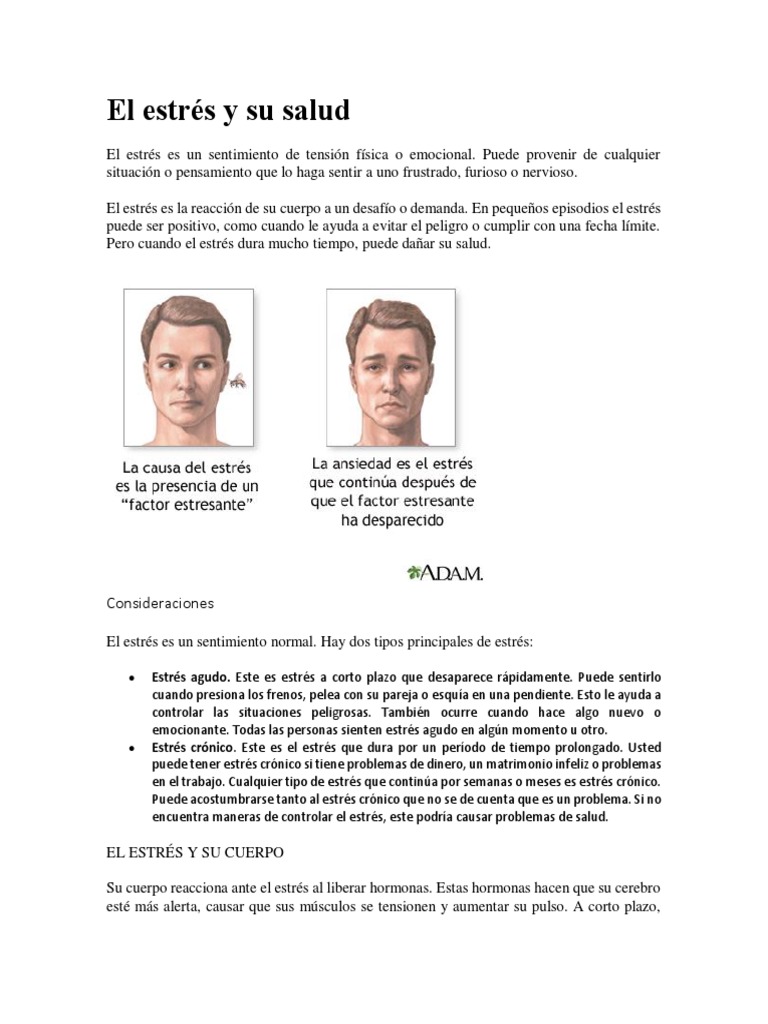 Lectura Complementaria A El Estrés y Su Salud PDF | PDF | Estrés ...