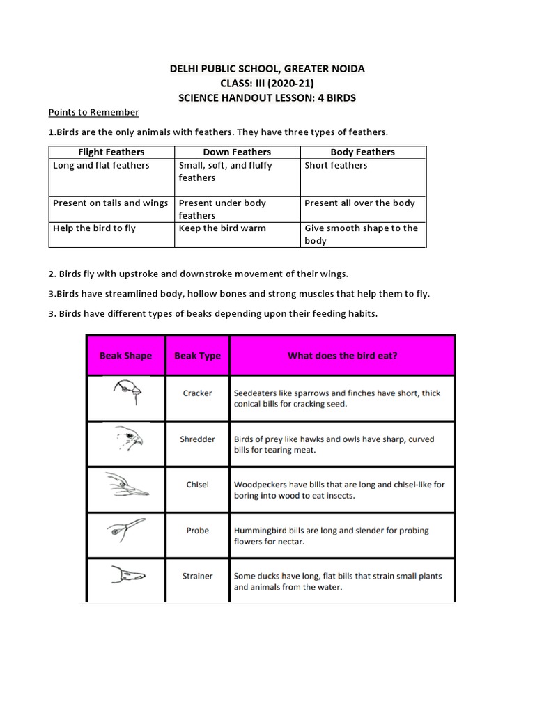 Delhi Public School, Greater Noida CLASS: III (2020-21) Science Handout ...