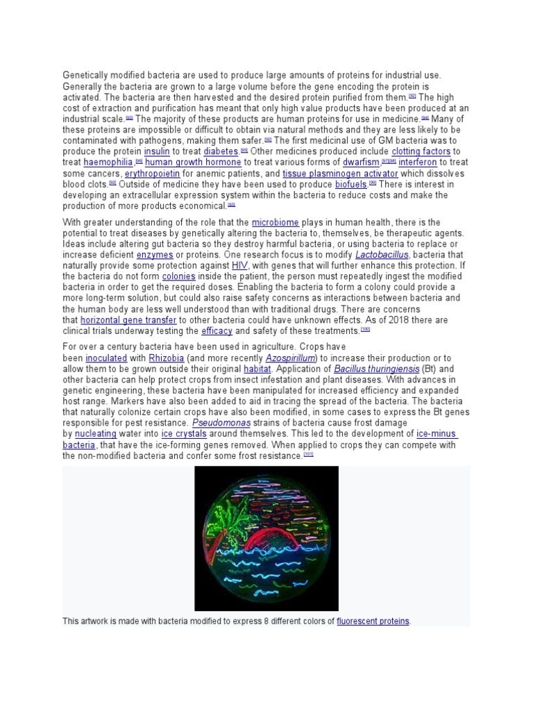 Genetically Modified Bacteria Uses | PDF | Organisms | Life Sciences