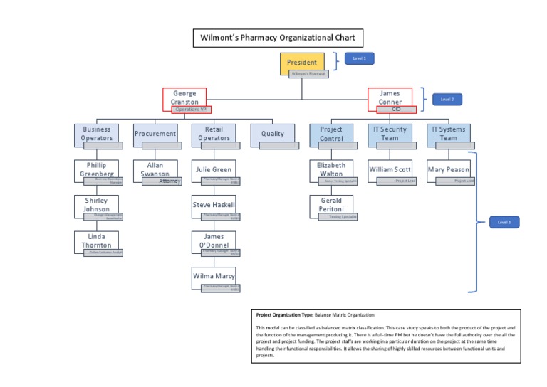 Wilmont’s Pharmacy Organizational Chart Structure | PDF | Leadership ...