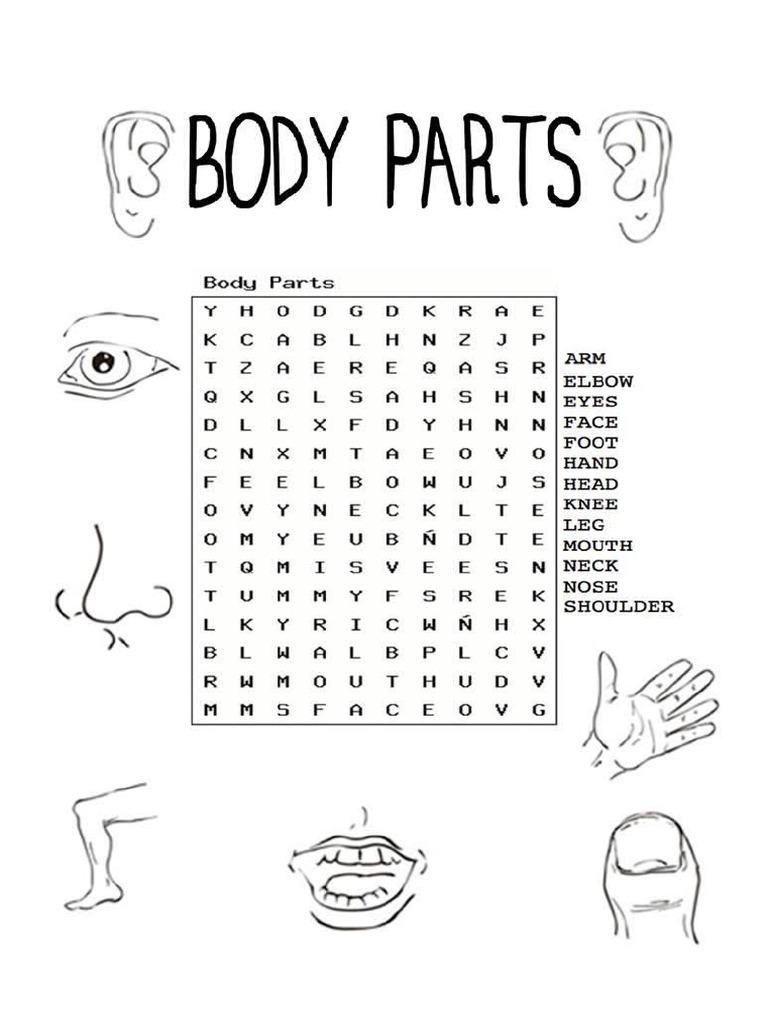 Sopa de Letras My Body | PDF