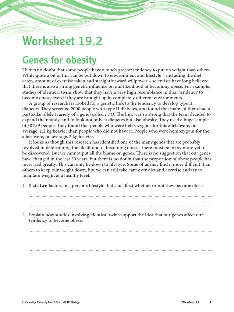 Worksheet 19.2: Genes For Obesity | PDF | Obesity | Zygosity
