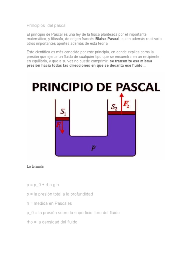 Principios Del Pascal | PDF