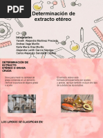 Determinación de Extracto Etéreo | PDF | Lípido | Solvente