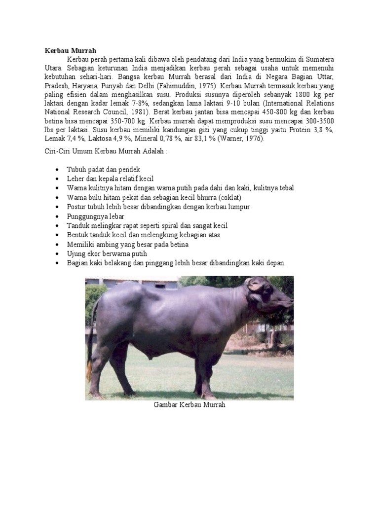 Jenis Jenis Kerbauuu | PDF