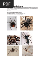 Snake Awareness Toolbox Talk | PDF | Snake