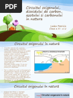 Efectul de Sera | PDF