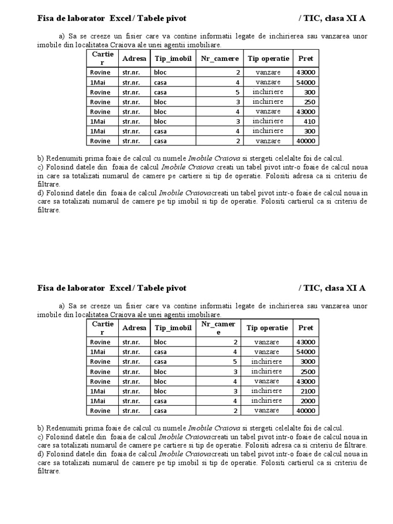 Fisa de Laborator Excel Tabele Pivot Si Grafice | PDF