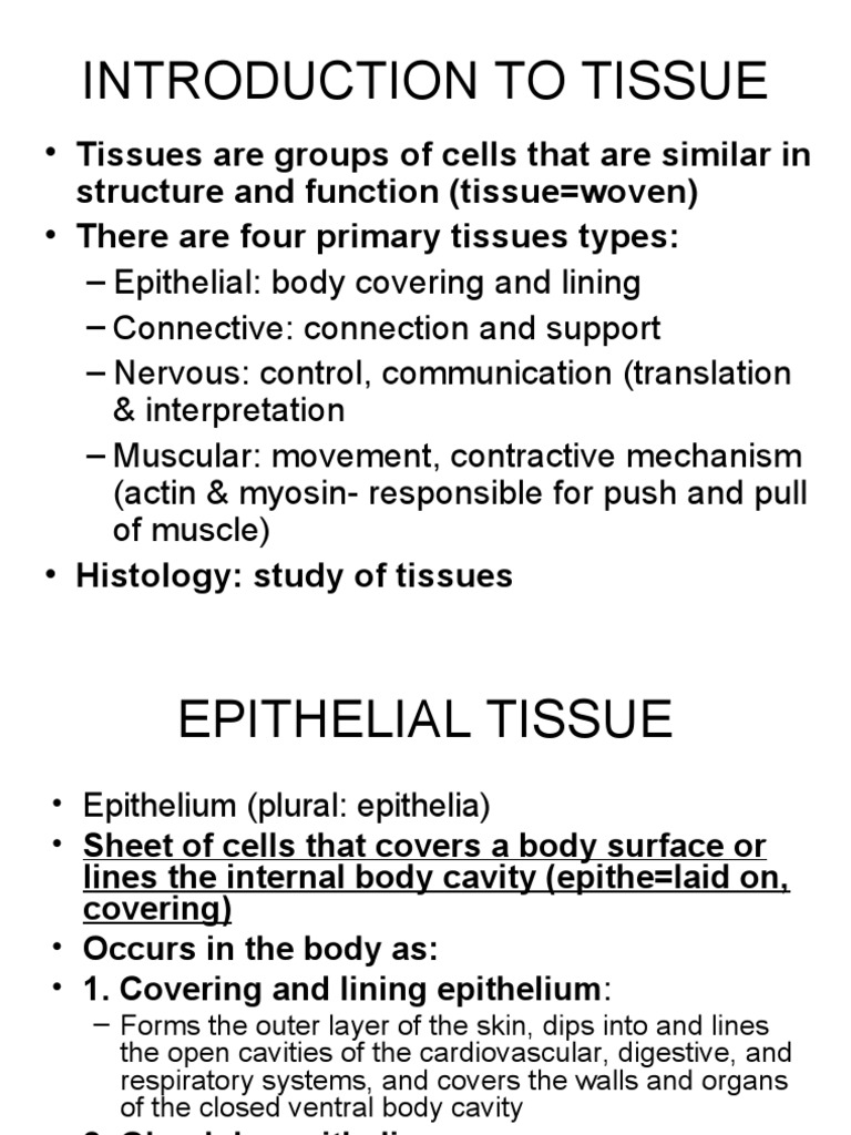 Overview of Tissue Types and Functions | PDF | Epithelium | Connective ...