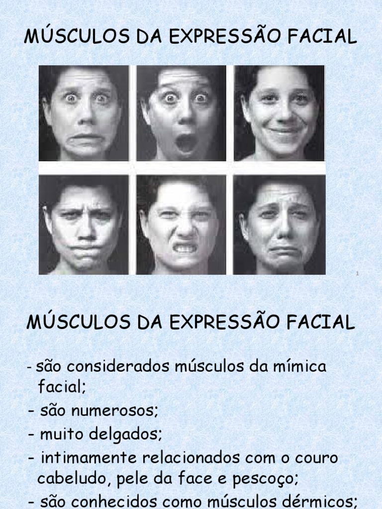 Músculos da Mímica Facial e Suas Funções | PDF | Rosto | Anatomia humana
