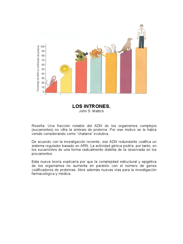 14 (1) Los Intrones | PDF | Gene | Rna