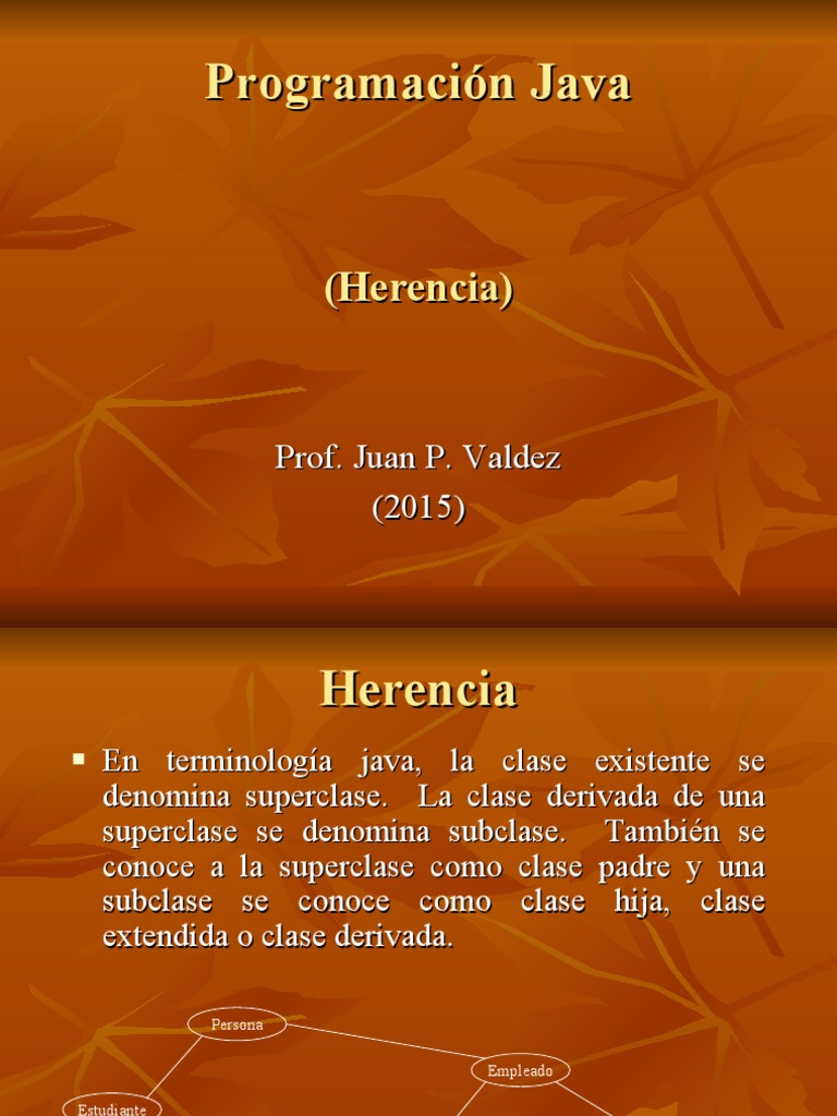 Presentacion Java XI | PDF | Herencia (Programación Orientada a Objetos) | C