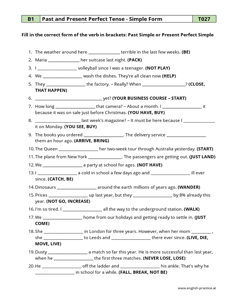B1 Past and Present Perfect Tense - Simple Form T027 | PDF