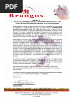 Autorizacion Menor de Edad | PDF