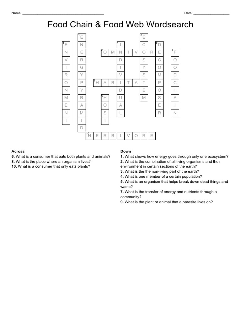 Food Chain Food Web Wordsearch Answer Key | PDF | Food Web | Symbiosis
