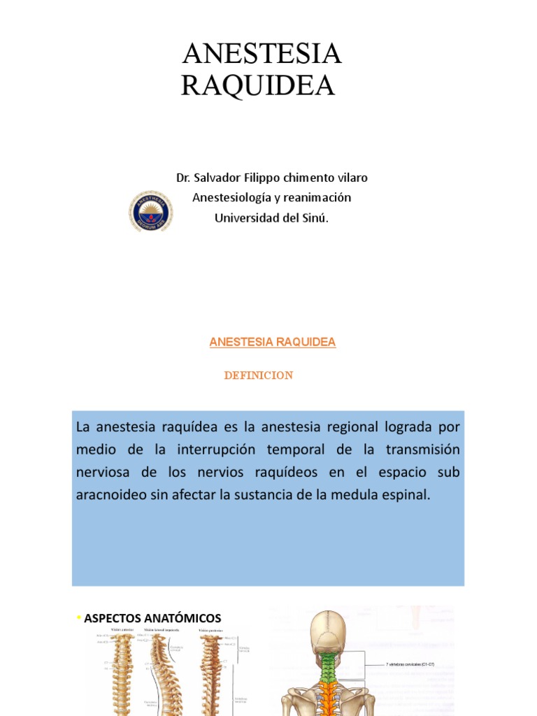 Anestesia Raquidea | PDF | La columna vertebral | Médula espinal
