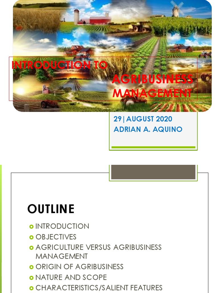 Introduction To Agribusiness Management | PDF