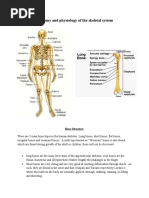 BTEC Sport Level 3 Revision Guide Skeletal System | PDF | Anatomical ...