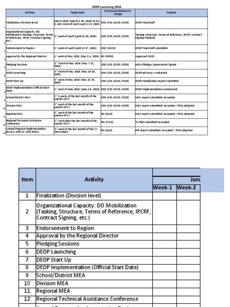 Activity Target Date Outputs Functional Division In-Charge: DEDP ...