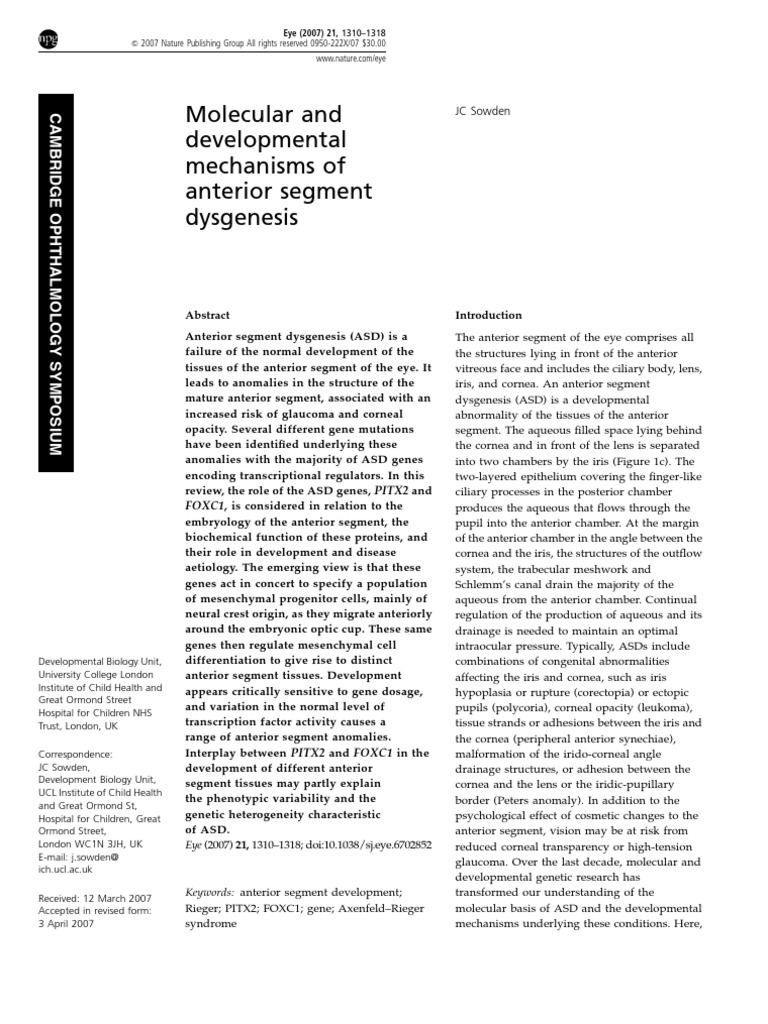 Molecular and Developmental Mechanisms of Anterior Segment Dysgenesis ...