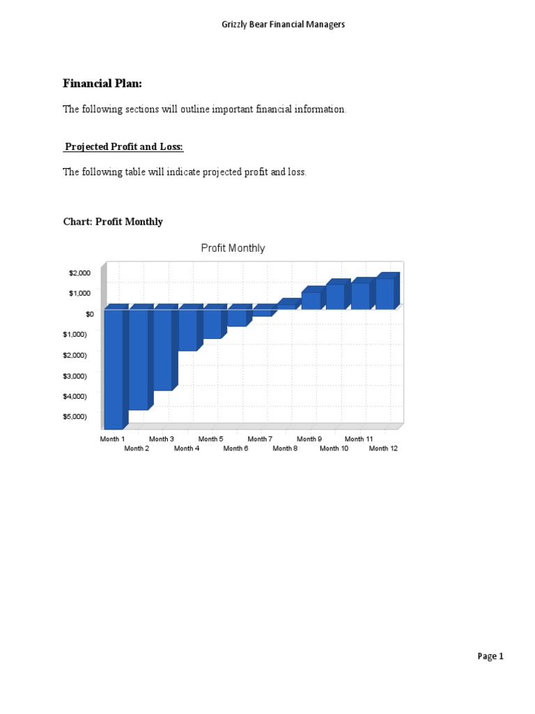 Financial Plan:: The Following Sections Will Outline Important ...
