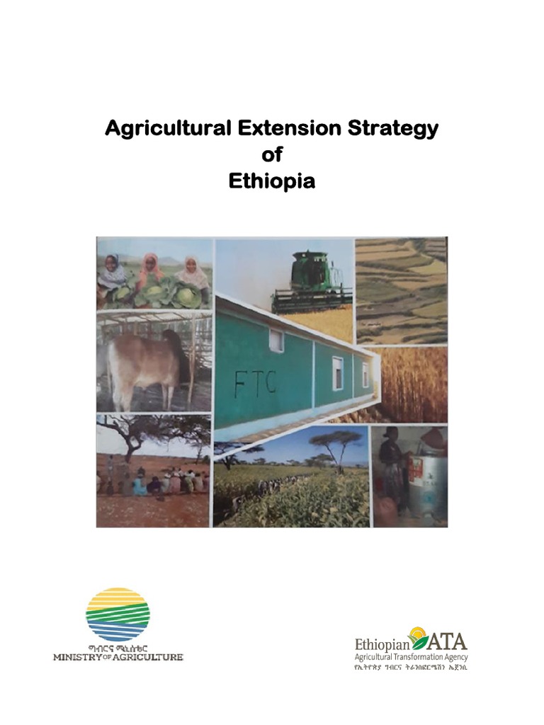 FINAL EXTENSION STRATEGY EDITED FOR Upload | PDF | Agriculture ...