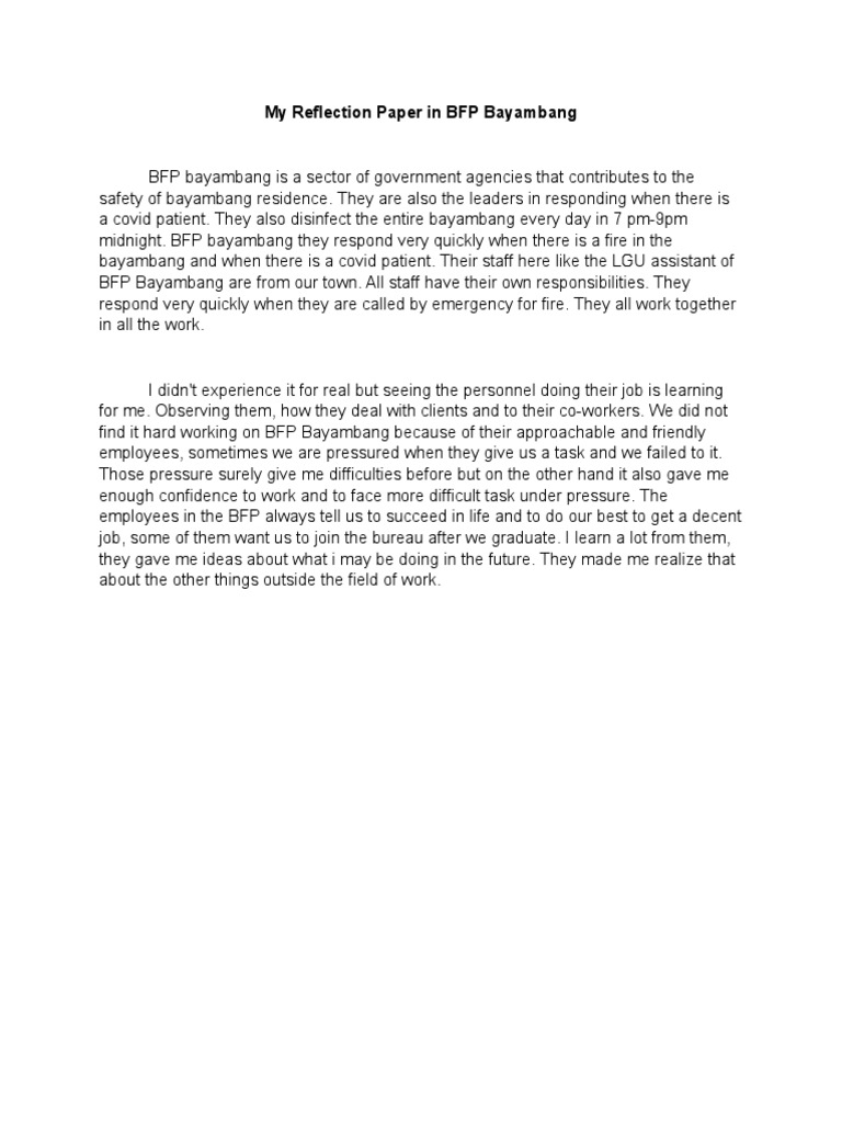 BFP Bayambang Reflection Paper on Safety Services | PDF