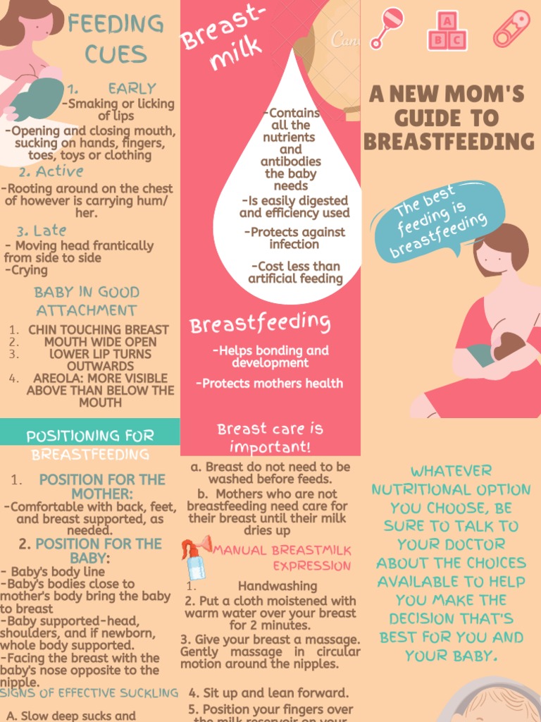 A New Mom'S Guide To Breastfeeding | PDF | Breastfeeding | Breast Milk