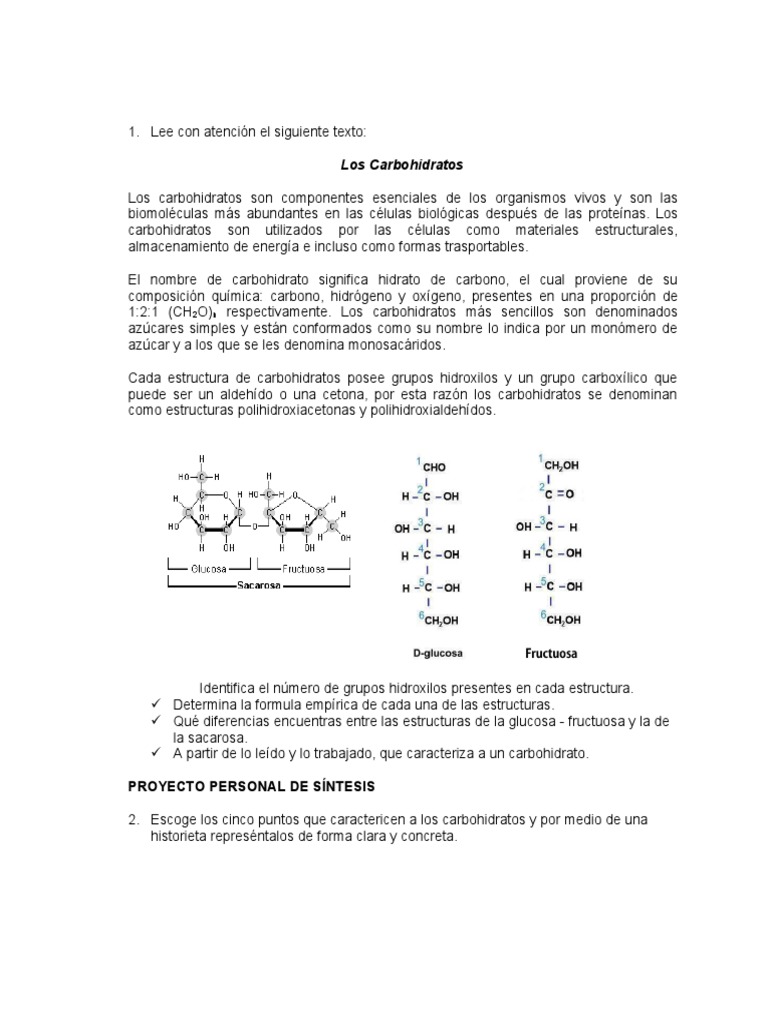 Actividad 7-Carbohidratos | PDF | Trifosfato de adenosina | Carbohidratos