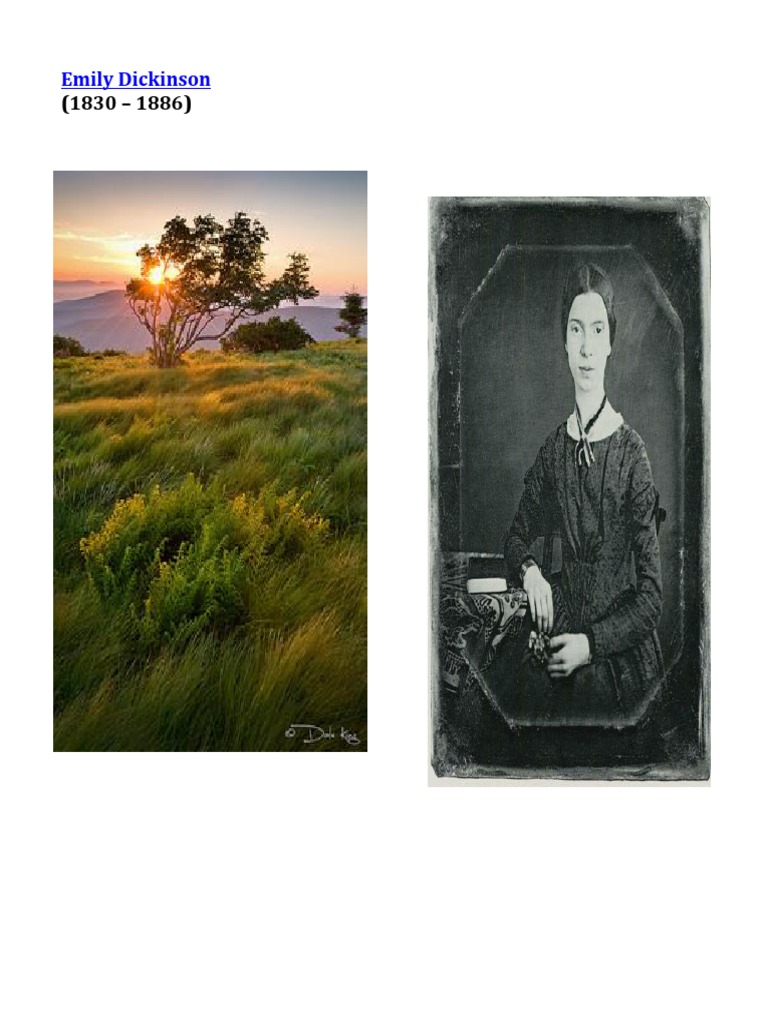 Why I Love You: An Analysis of Emily Dickinson's Poem Exploring Themes ...