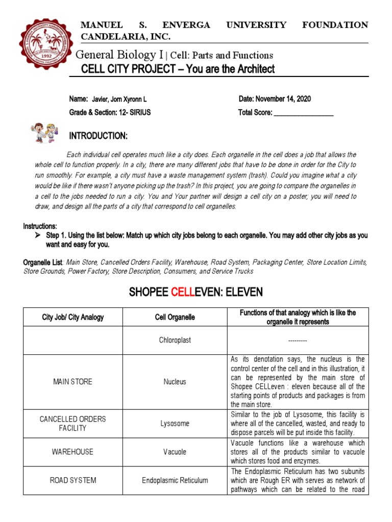 General Biology I: CELL CITY PROJECT - You Are The Architect | PDF ...